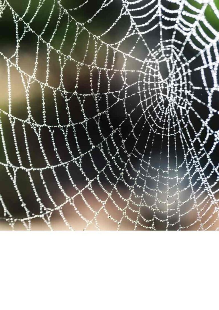 Leuke activiteiten voor groepsvorming in de Gouden Weken